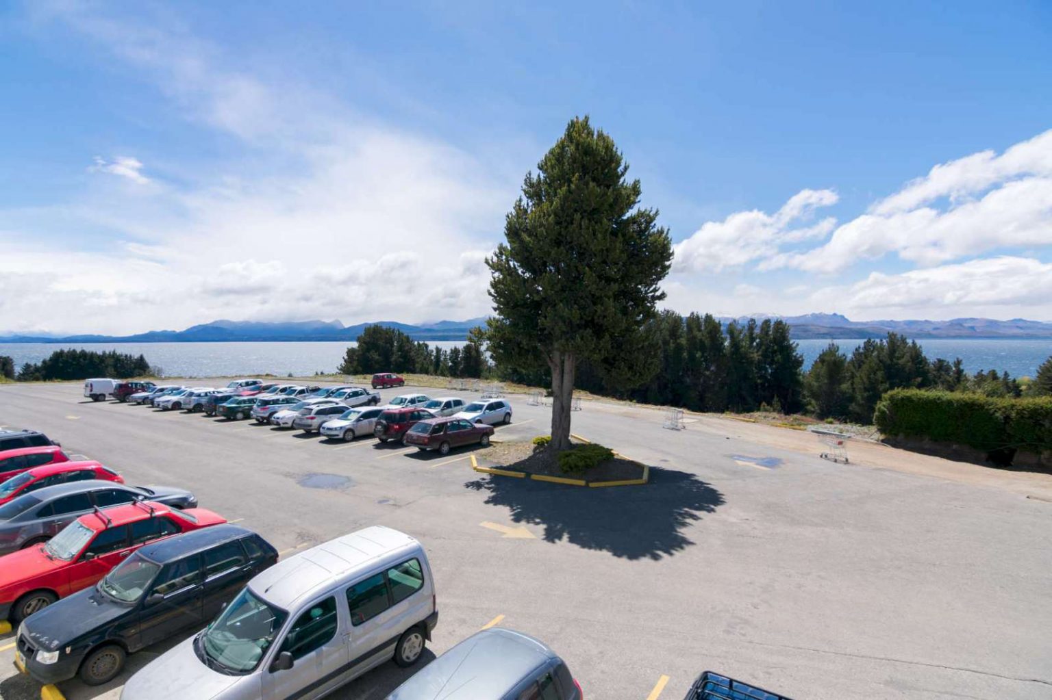 Inicio - Puelche | Mayorista de la Patagonia