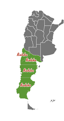 Supermercado Mayorista Puelche – Distribuidor en la Patagonia